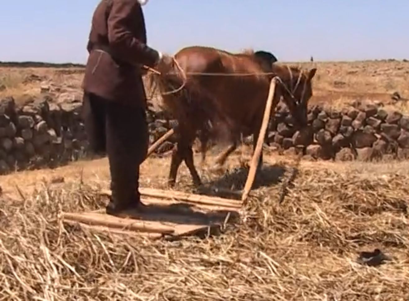 Archéodéfis #11 – La solution : un tribulum pour dépiquer les céréales ...